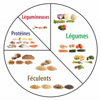 Le nouveau guide alimentaire canadien - Espace Shiatsu