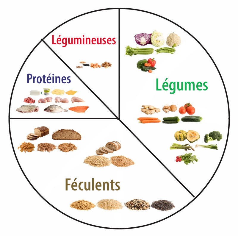 Le nouveau guide alimentaire canadien - Espace Shiatsu